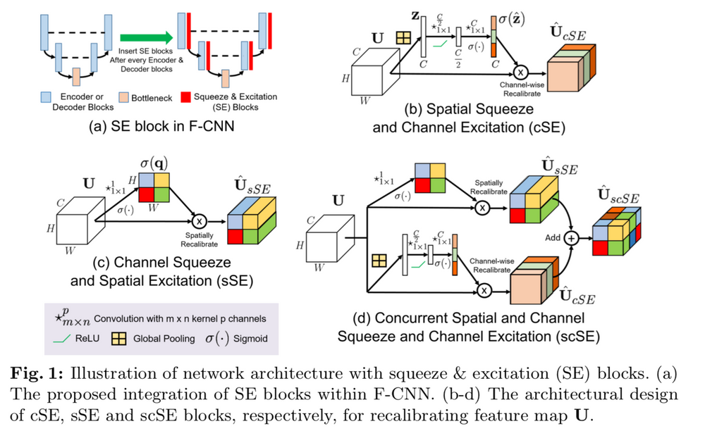 A Guide to scSE Nets | Paperspace Blog