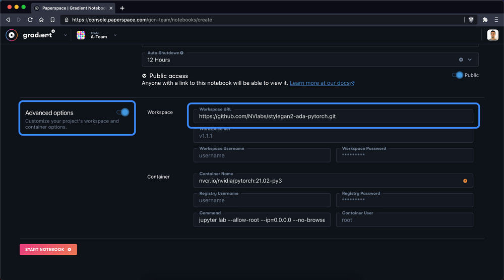 How to Run StyleGAN2-ADA-PyTorch | Paperspace Blog