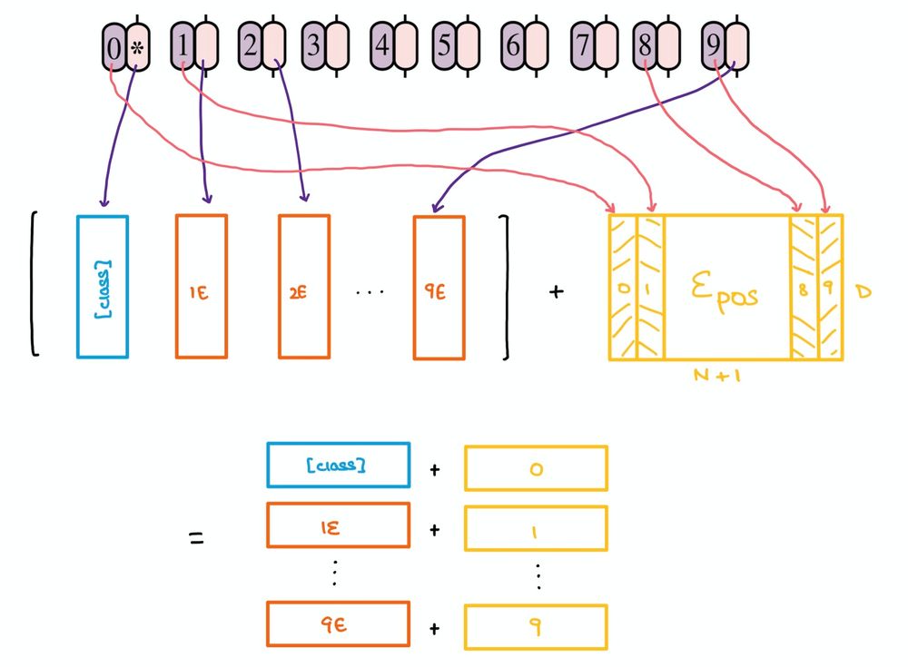 Vision Transformers Explained | Paperspace Blog