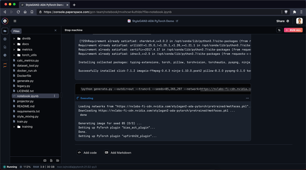 How to Run StyleGAN2-ADA-PyTorch | Paperspace Blog