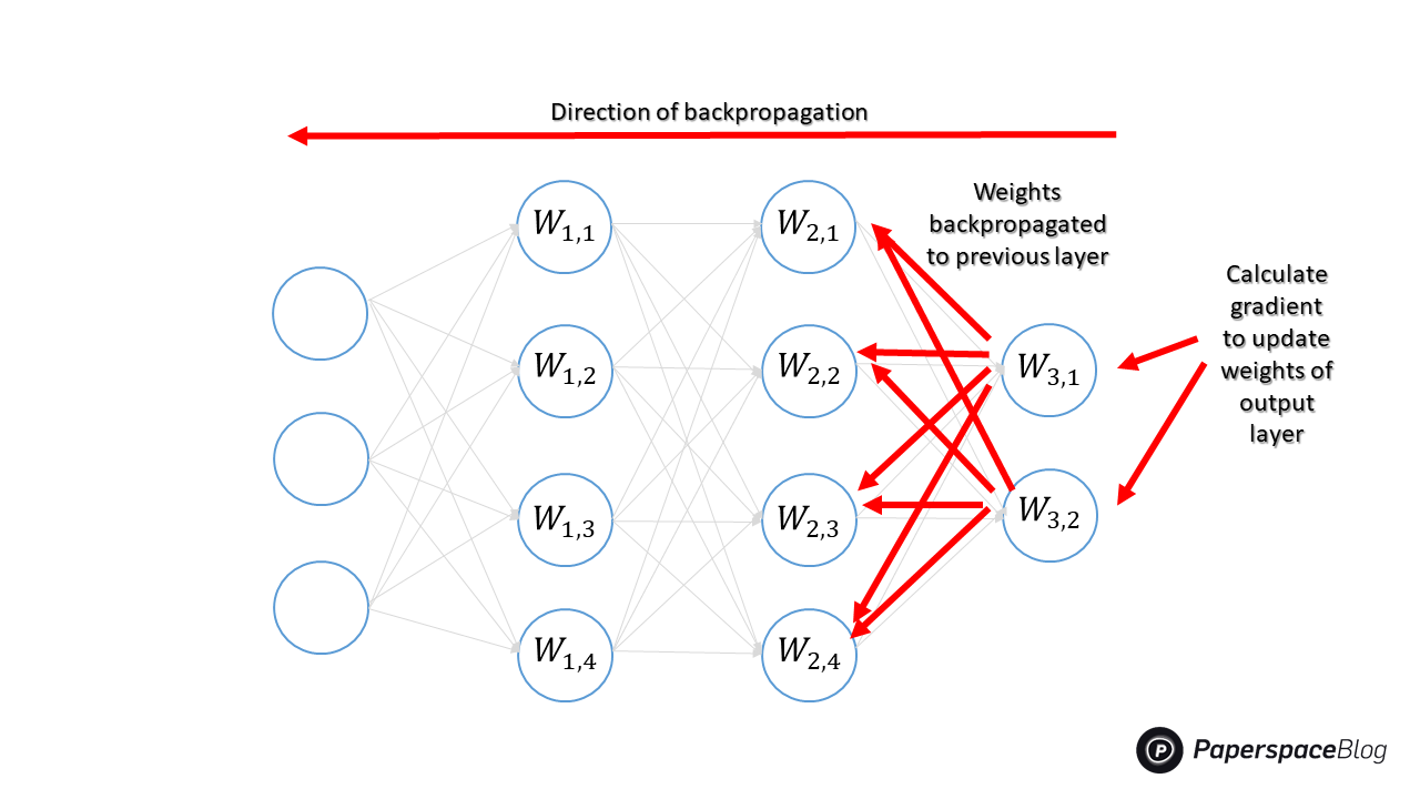 Feed-forward vs feedback neural networks
