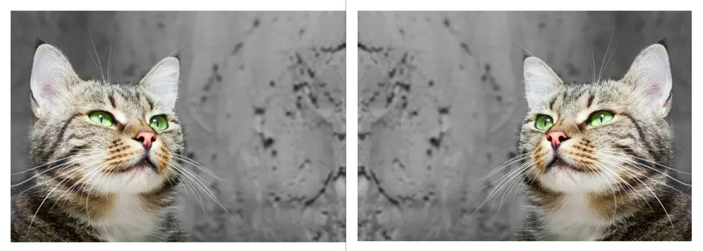 Translation Invariance And Equivariance In Convolutional Neural Networks