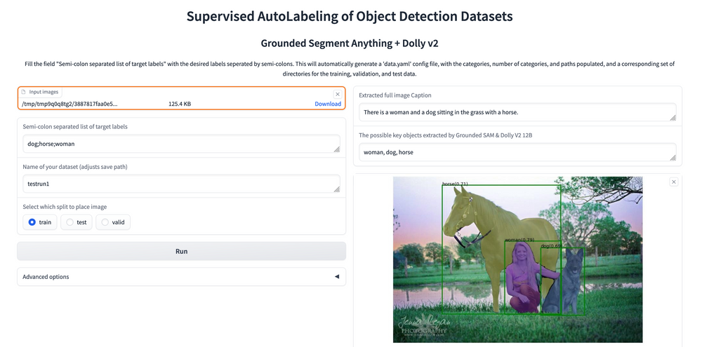 Automatic image labeling for object detection datasets with Segment Anything and Dolly, part 1 ...