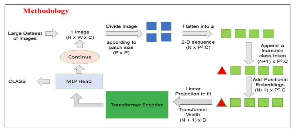 Quantizing Vision Transformers for Efficient Deployment: Strategies and Best Practices