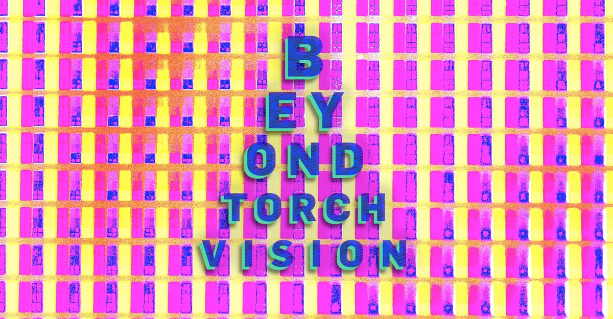 Going beyond torchvision models
