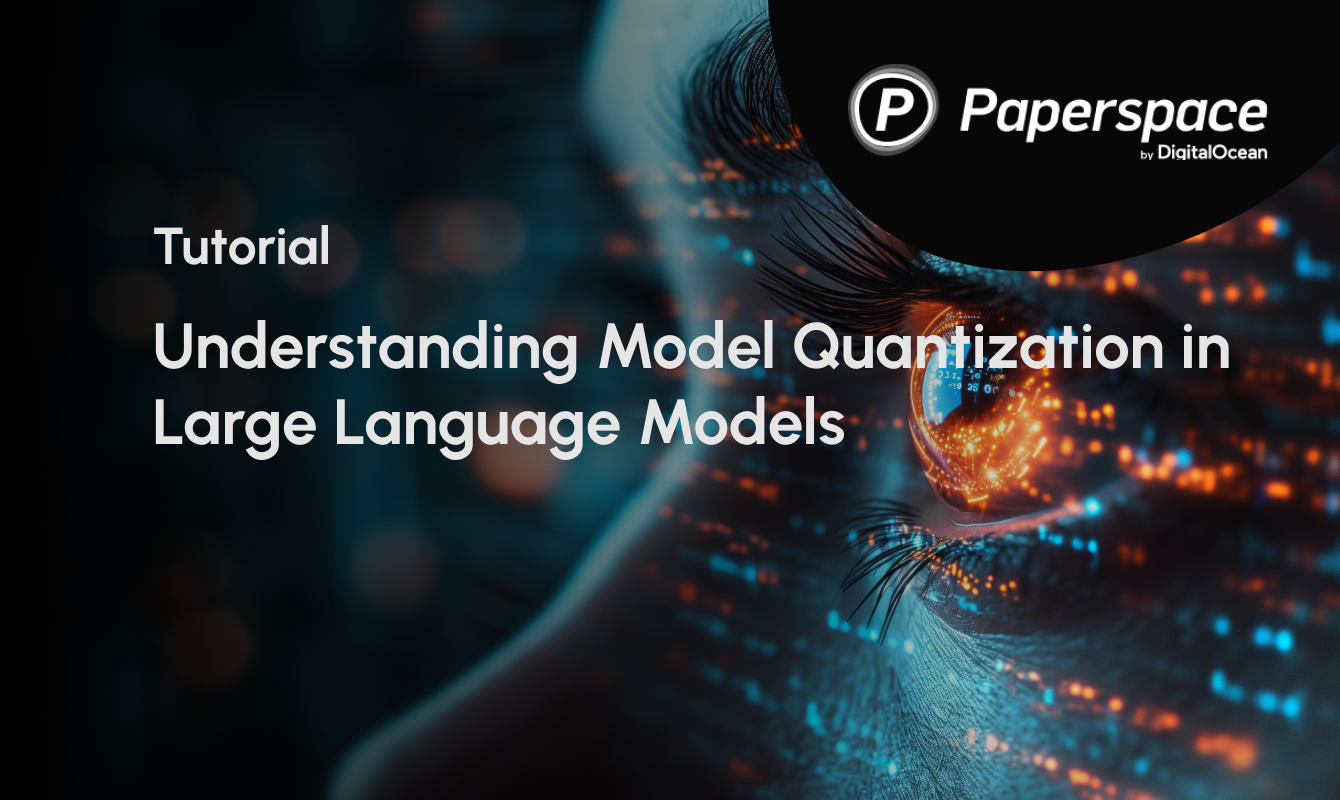 Understanding Model Quantization In Large Language Models