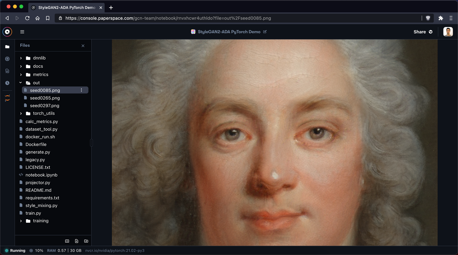 How to Run StyleGAN2-ADA-PyTorch | Paperspace Blog