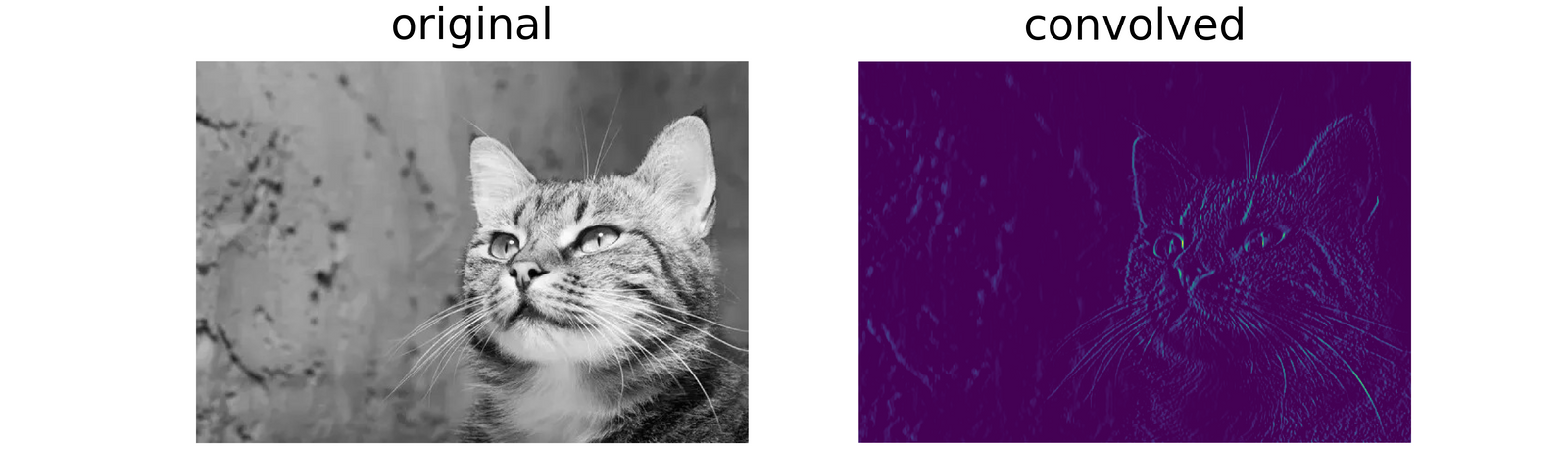 Translation Invariance & Equivariance in Convolutional Neural Networks