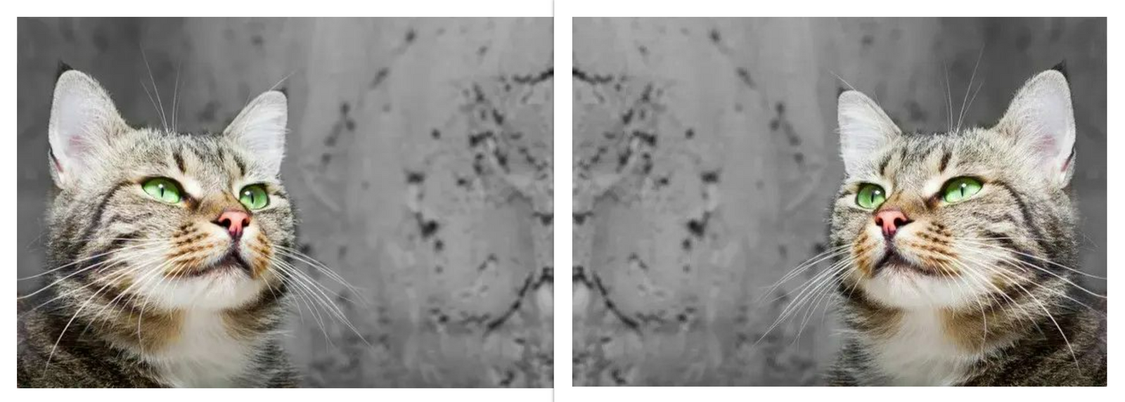 Translation Invariance & Equivariance in Convolutional Neural Networks