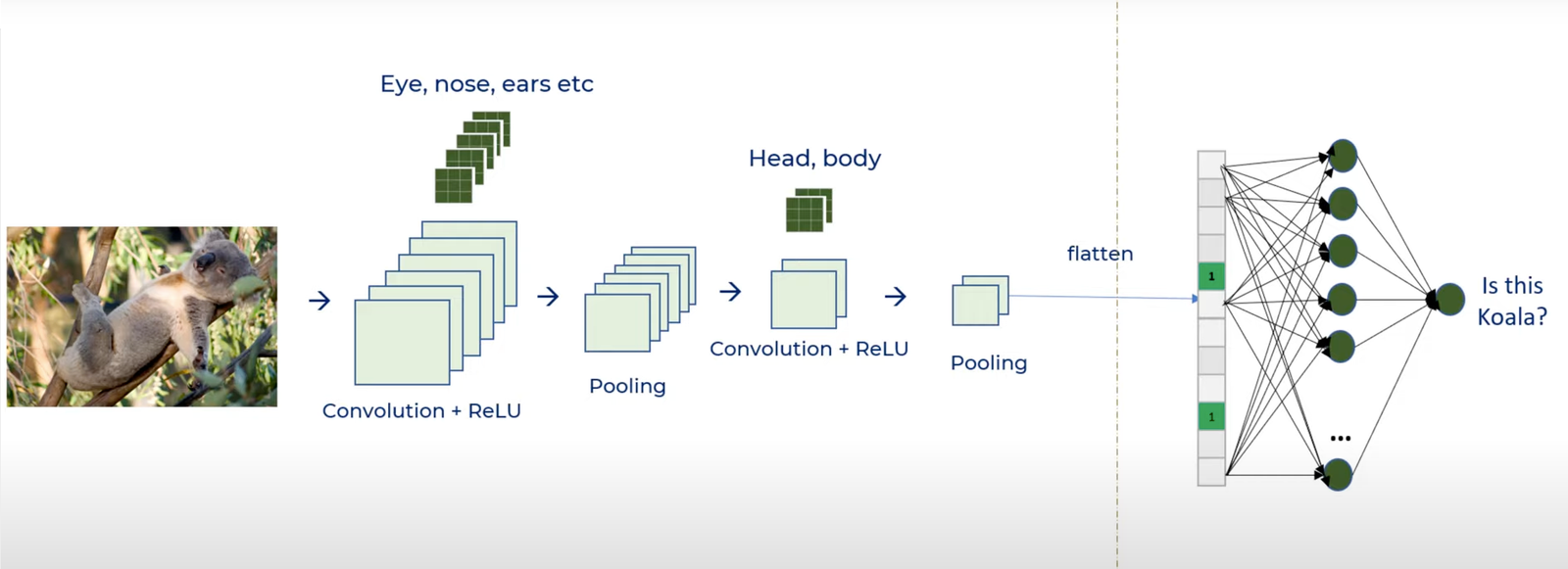 A Comprehensive Exploration of Pooling in Neural Networks: A Python ...