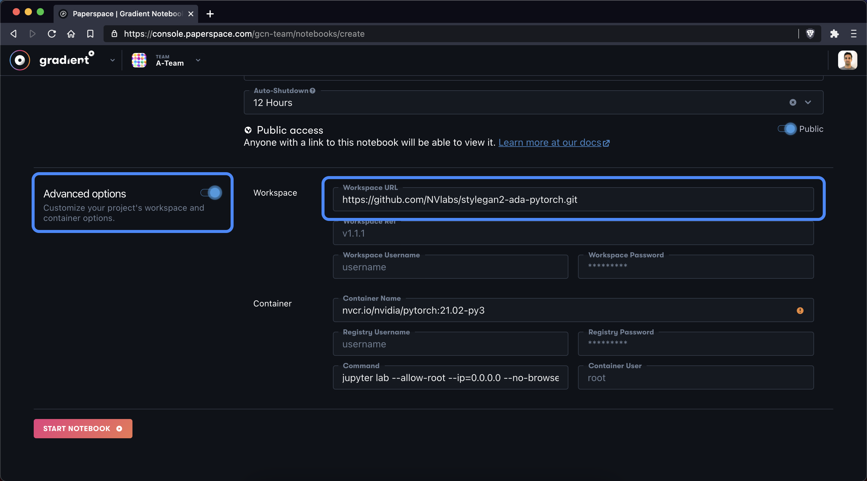 How to Run StyleGAN2-ADA-PyTorch | Paperspace Blog