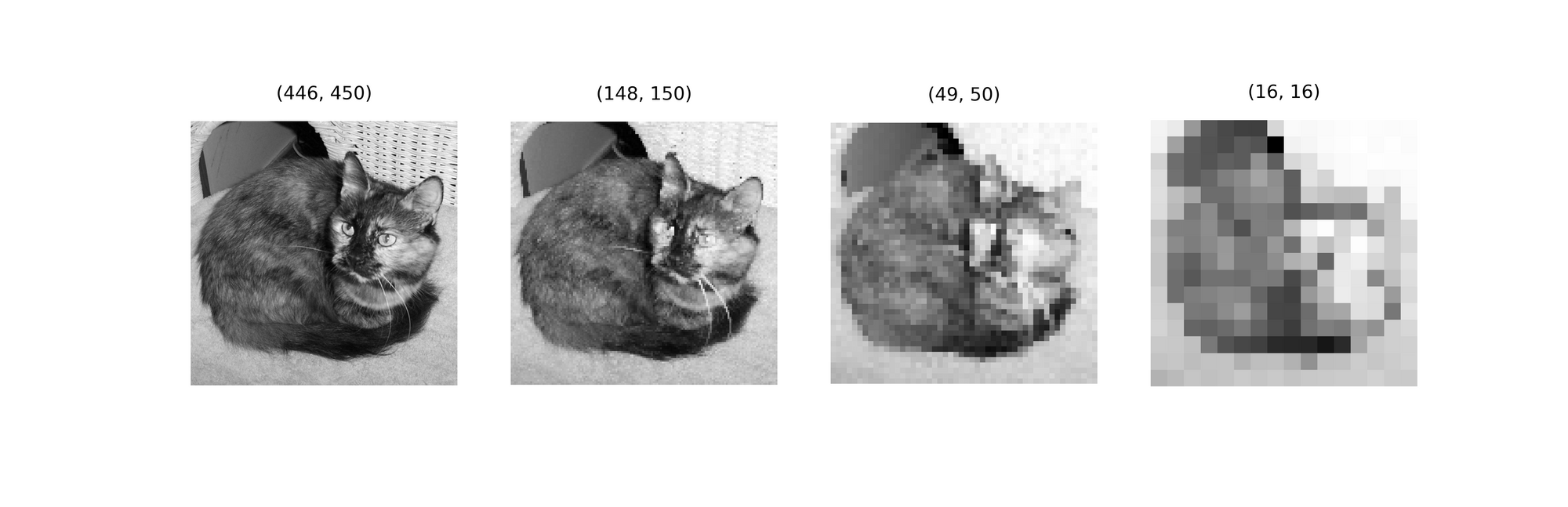 Pooling In Convolutional Neural Networks