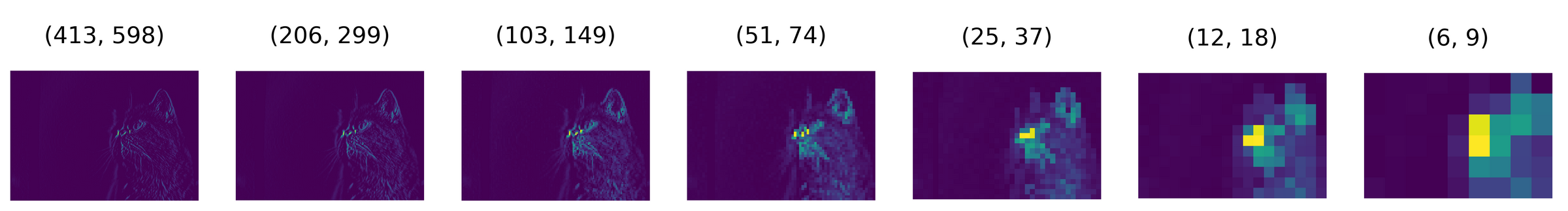 Translation Invariance & Equivariance in Convolutional Neural Networks