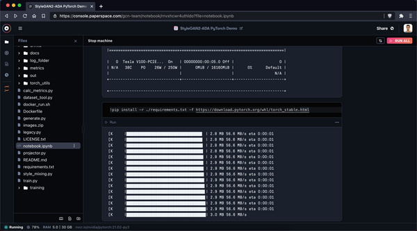 How to Run StyleGAN2-ADA-PyTorch | Paperspace Blog