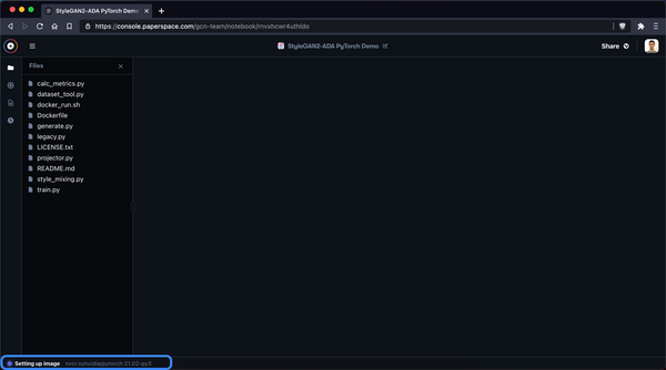 How to Run StyleGAN2-ADA-PyTorch | Paperspace Blog