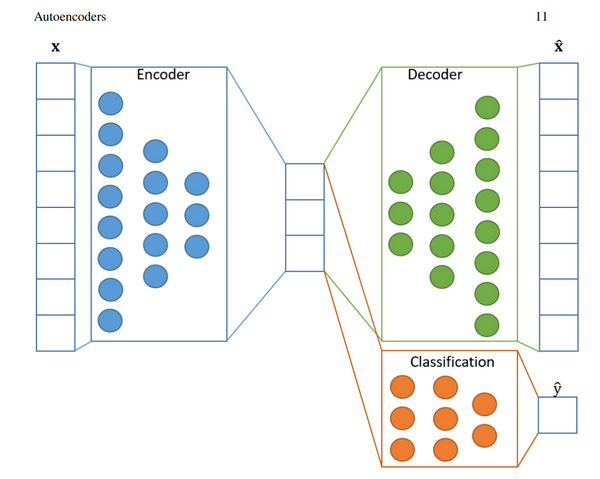 Conceptual Understanding of Autoencoders with Project Structures
