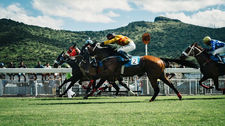 NumPy Array Processing With Cython: 1250x Faster | Paperspace Blog NumPy Array Processing With Cython: 1250x Faster | Paperspace Blog